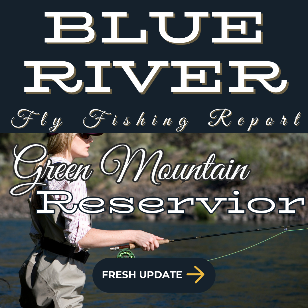 Blue River Tailwater Report – Trophy Trout & Tactical Hatches (June 30, 2025)